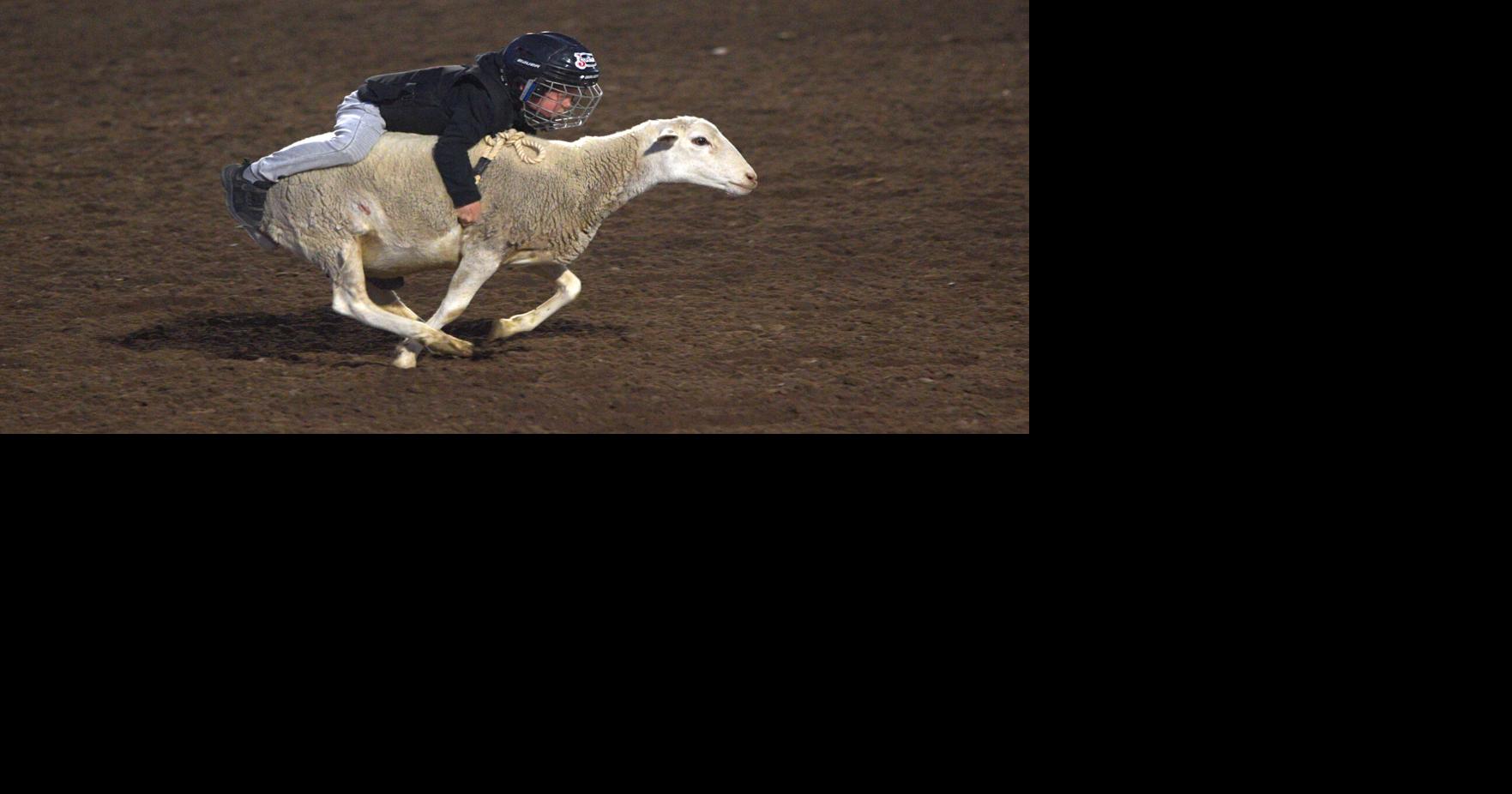 Mason Stransky wins Mutton Bustin' competition at Preston rodeo | Local ...