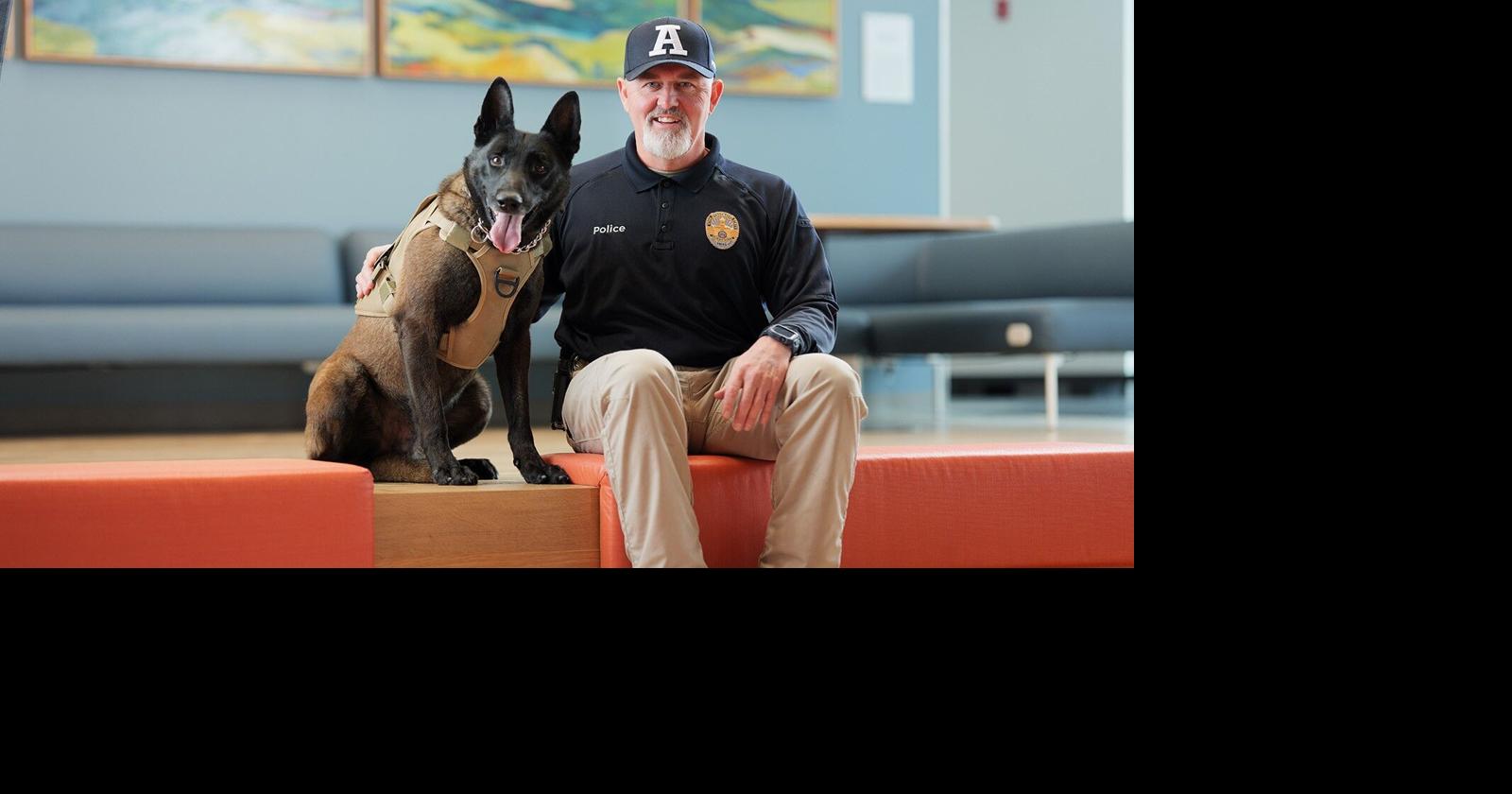‘Hey, bub’: USU welcomes new K-9 officer, Wolverine | News | hjnews.com