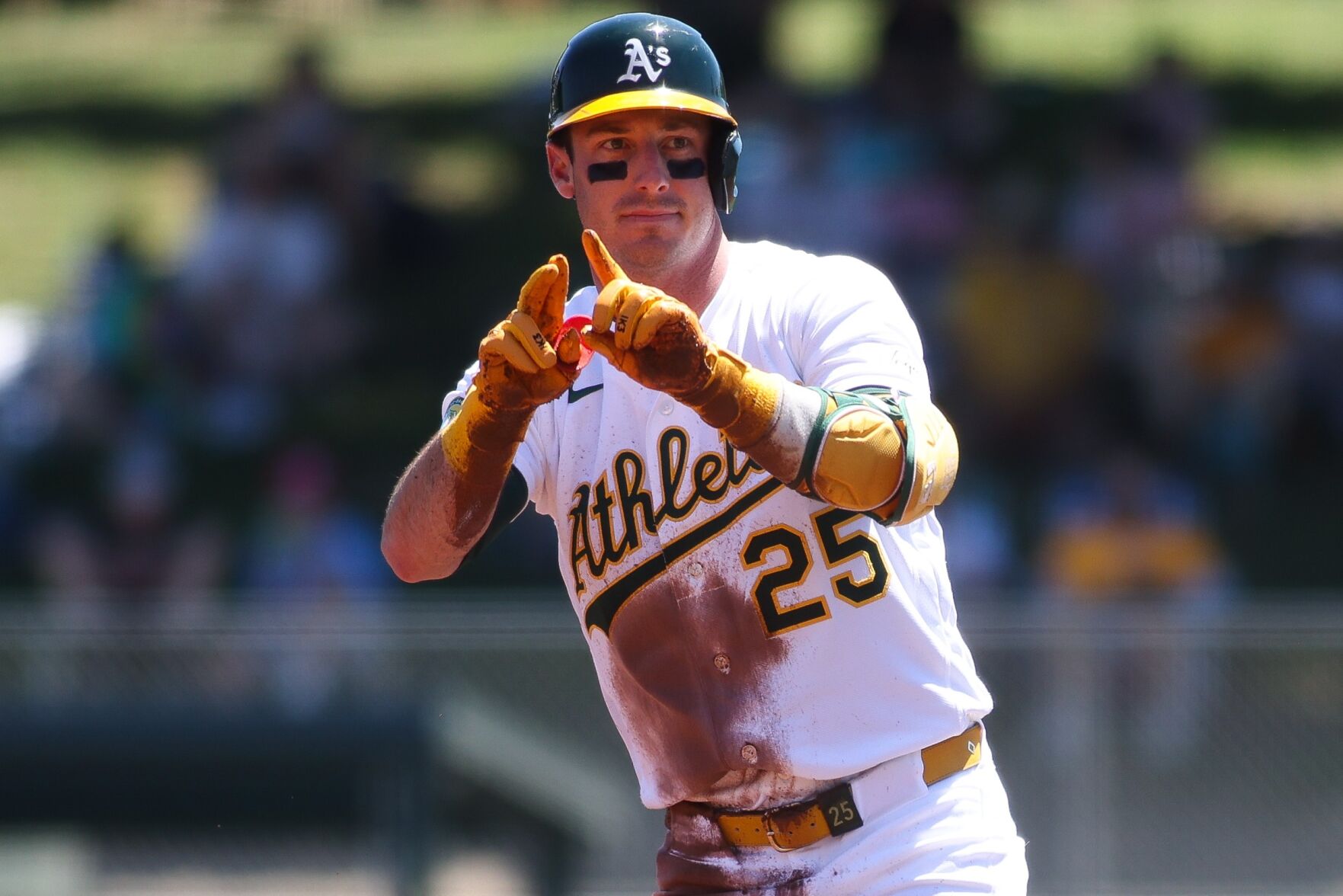 Cardinals Athletics Baseball | National Sports | hjnews.com