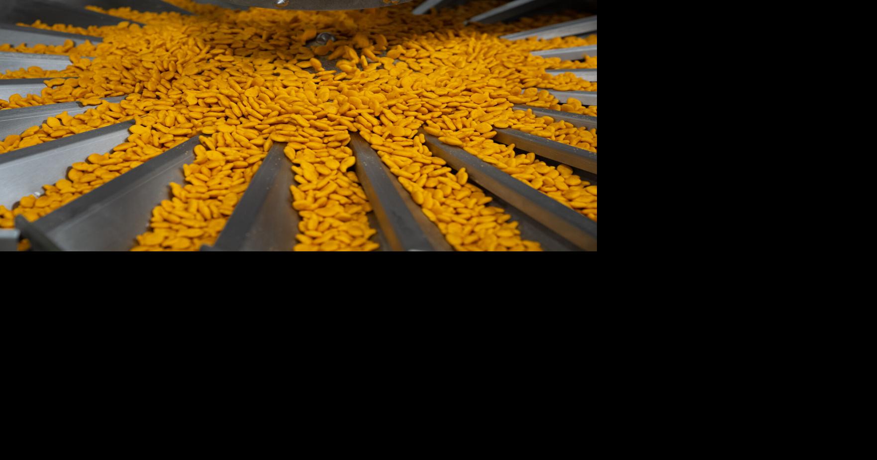 Campbell’s plant continues to reap benefits of flour mill, bakery ...