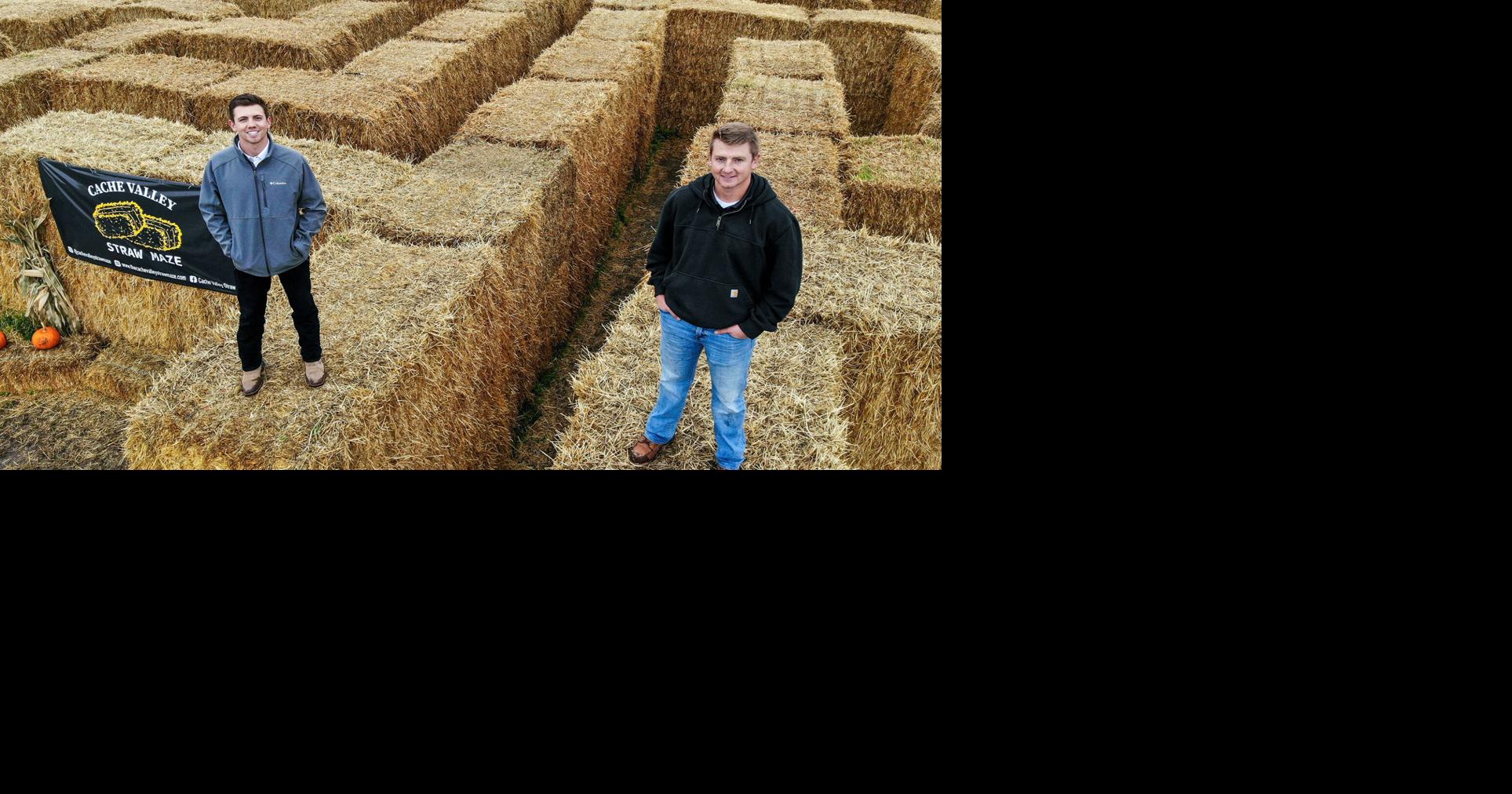 'It's different from anything else here': Cache Valley Straw Maze brings new experience to ...