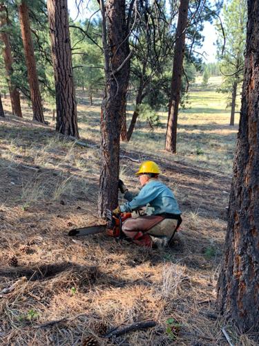 Utah Conservation Corps awarded $106,000 grant for Bryce Canyon ...