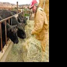 The >Dynamite? farmer | News | hjnews.com