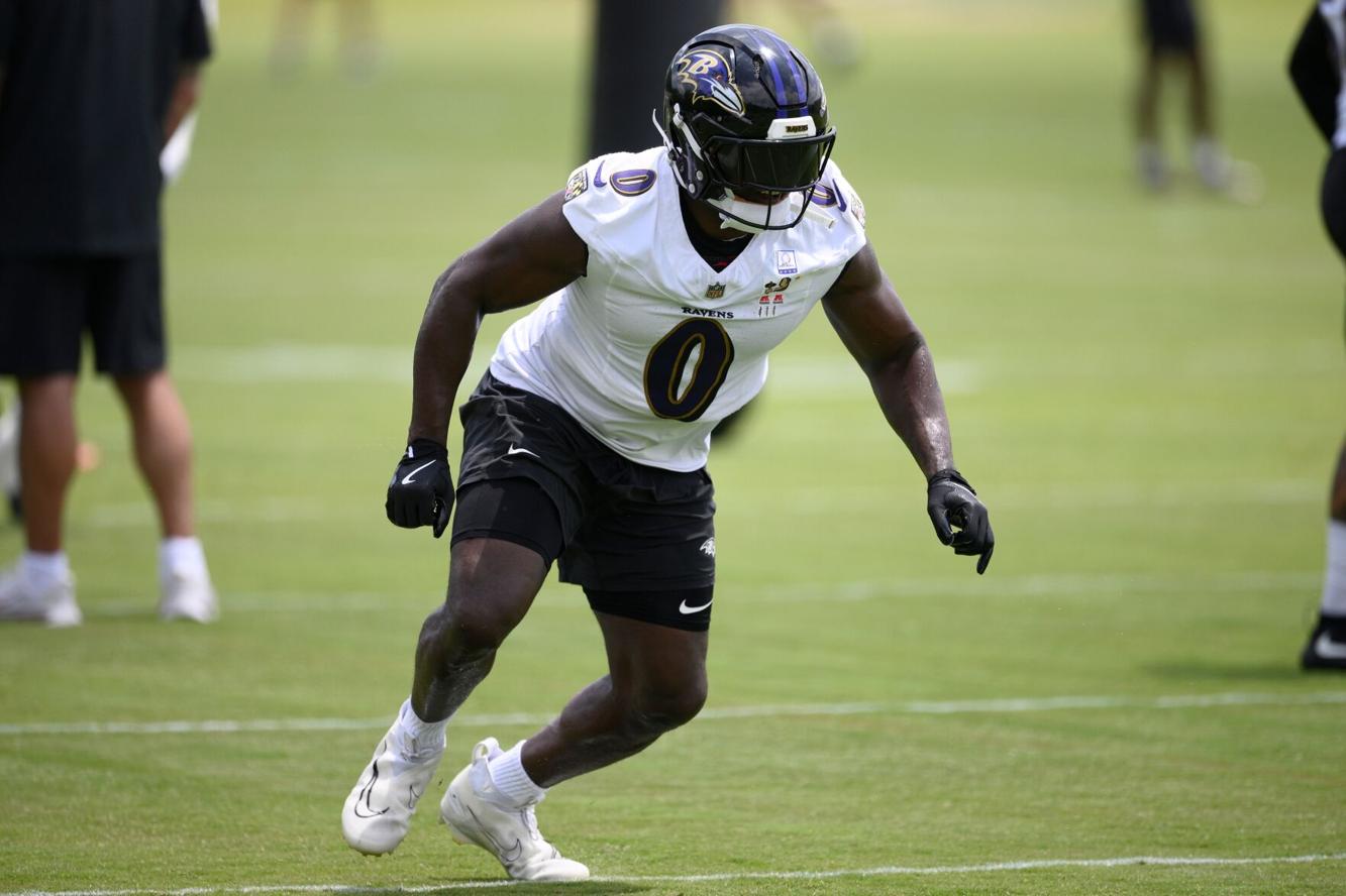 Ravens Football | National Sports | hjnews.com