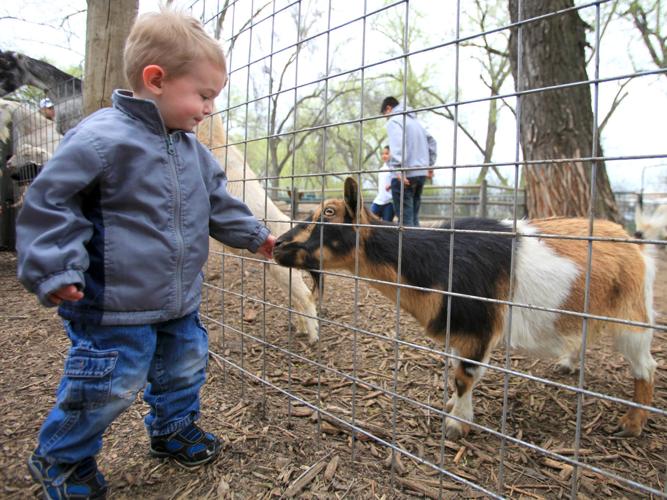 Zootah opens with 'Eggstravaganza' event | Allaccess | hjnews.com