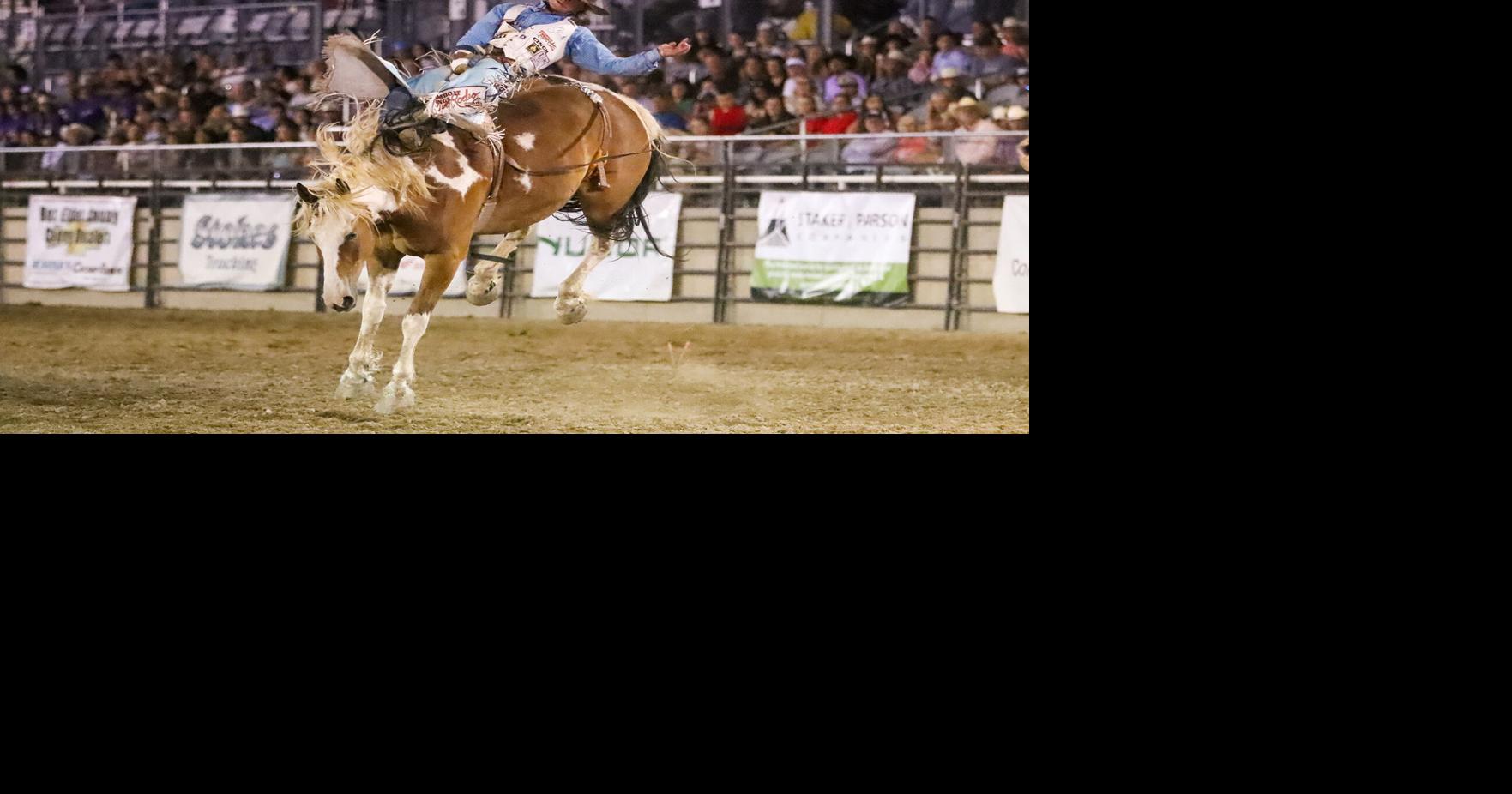 Golden Spike Rodeo | Tremonton Leader | hjnews.com