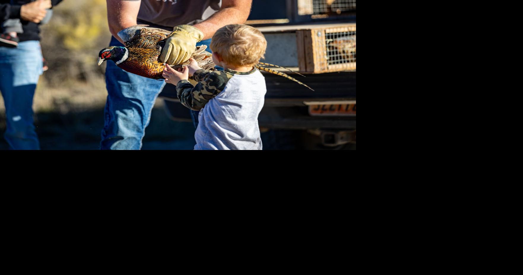 DWR says volunteers provided 62,417 hours of service in 2025 | Local ...