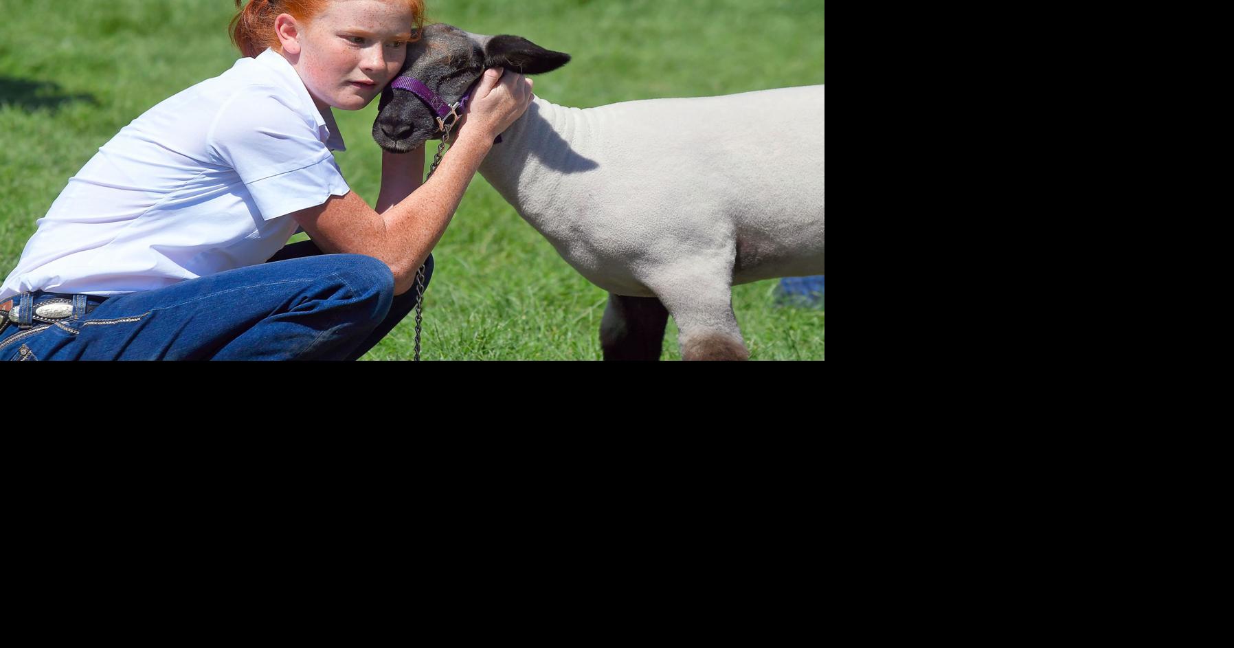 Cache County Fair in full swing; Rodeo events begin Wednesday night ...