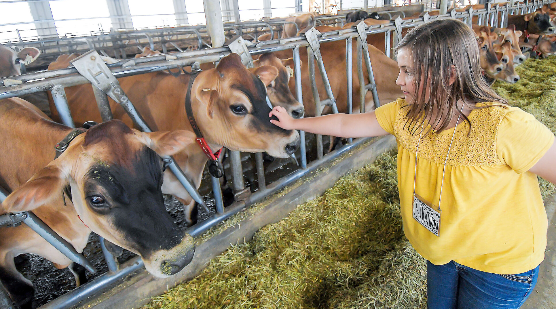 Cow to Cone celebration draws Utah legislators, media to tour Aggie ...