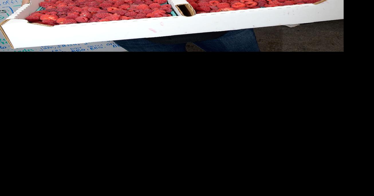 Raspberry rebound: Bear Lake's signature crop has better year ...