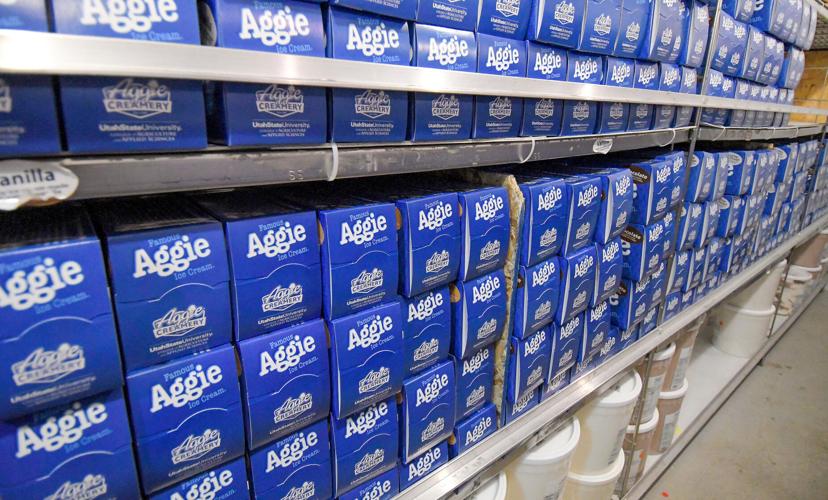 Cow to Cone celebration draws Utah legislators, media to tour Aggie ...