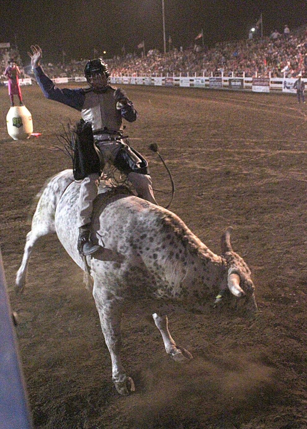 Bull steals Thursday night show | Preston Citizen | hjnews.com