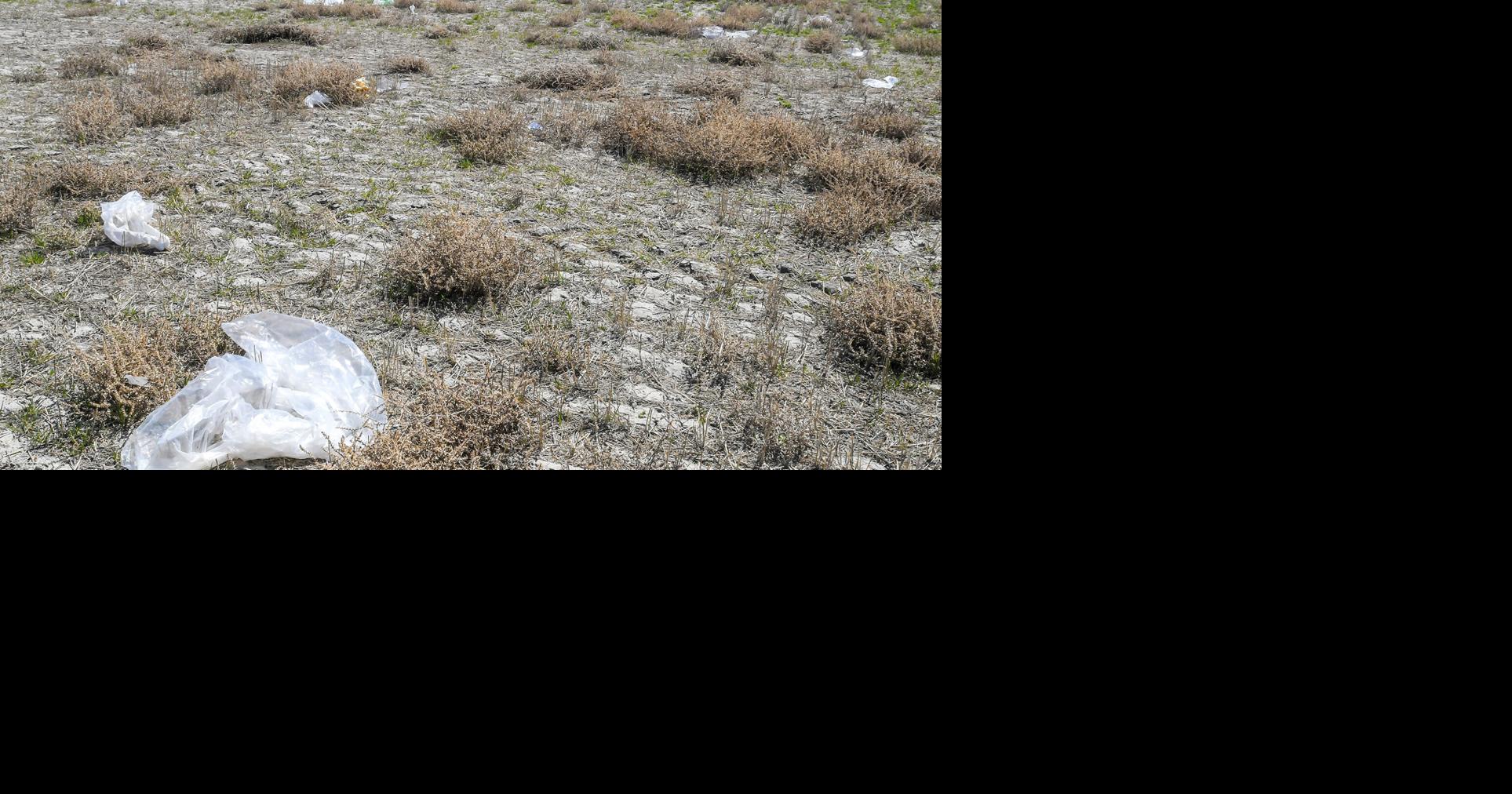 Plastics from North Valley Landfill litter surrounding fields following ...