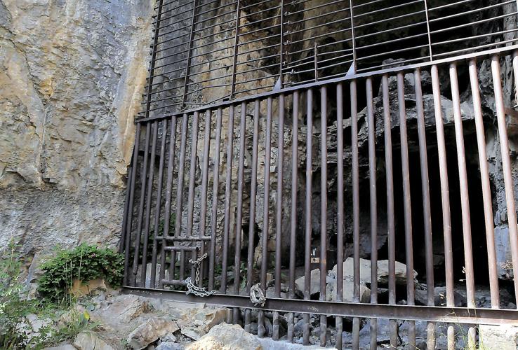 What's Up With That? Logan Cave to remain closed to protect bats ...