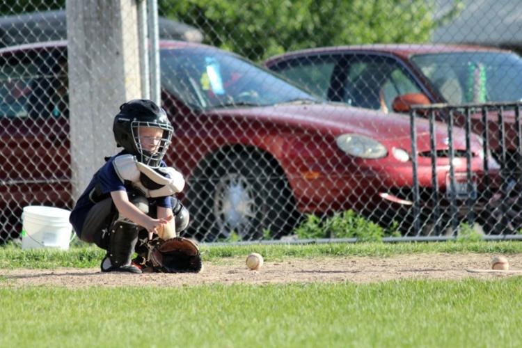 Preston little league baseball program continues to grow | Preston ...