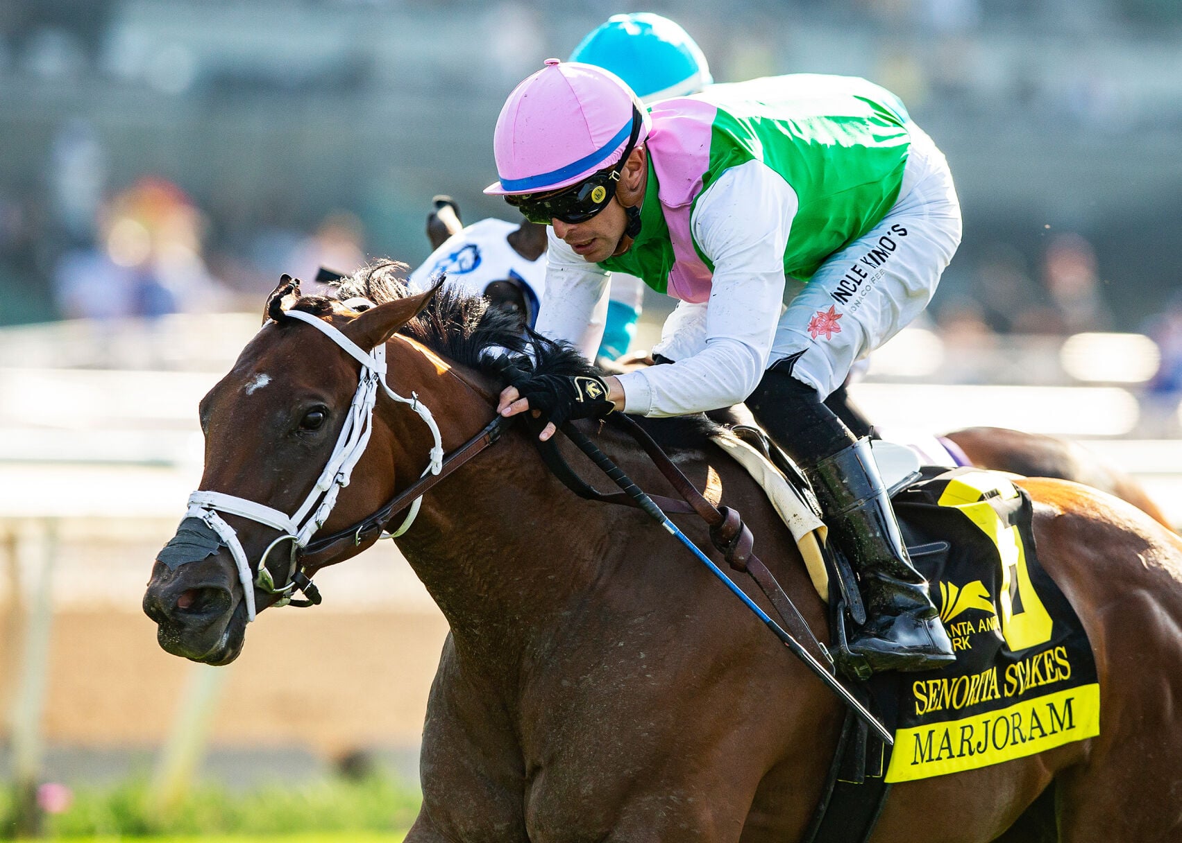 Santa Anita Horse Racing | National Sports | hjnews.com