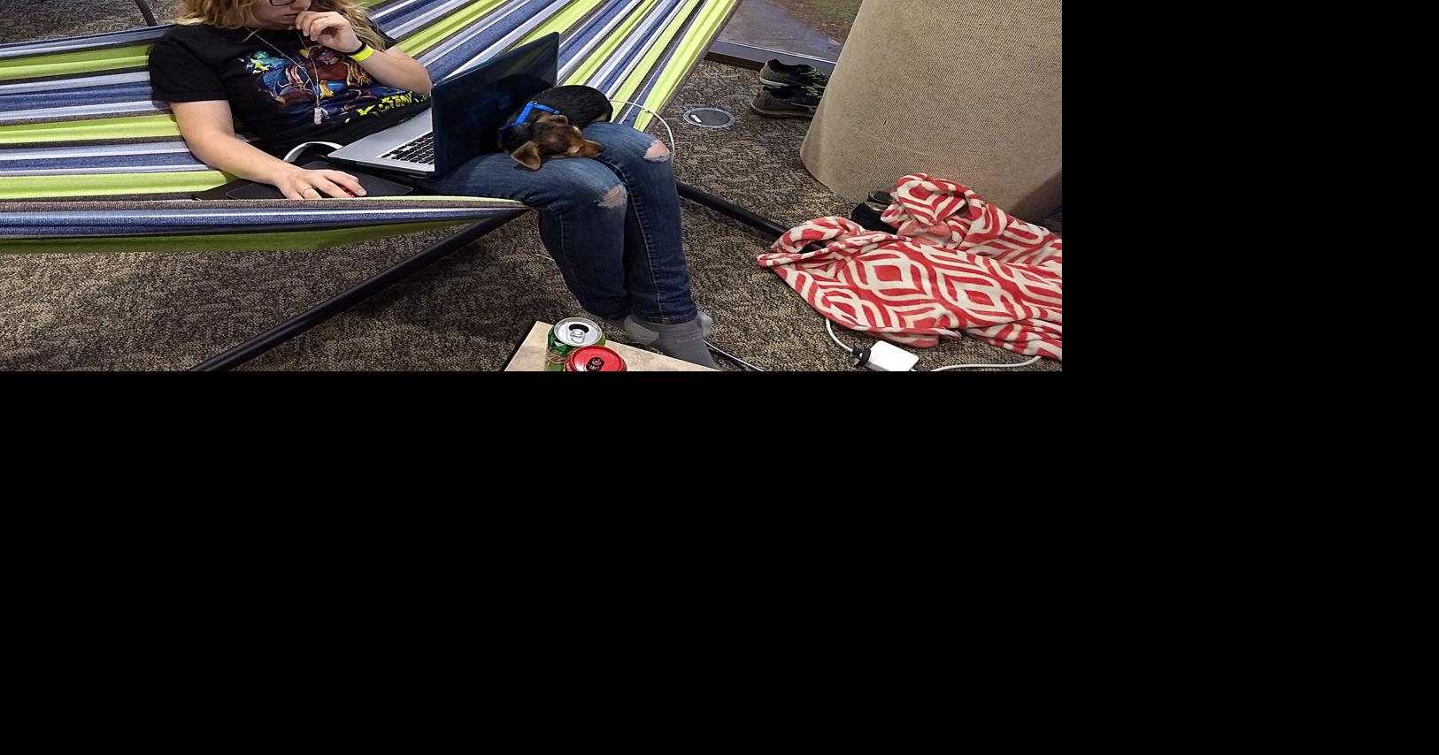 Students tackle homelessness at annual HackUSU coding marathon ...