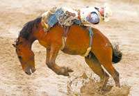 A muddy good time at the rodeo | Sports | hjnews.com