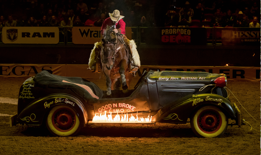 Once wild mustangs featured in specialty act for That Famous Preston ...