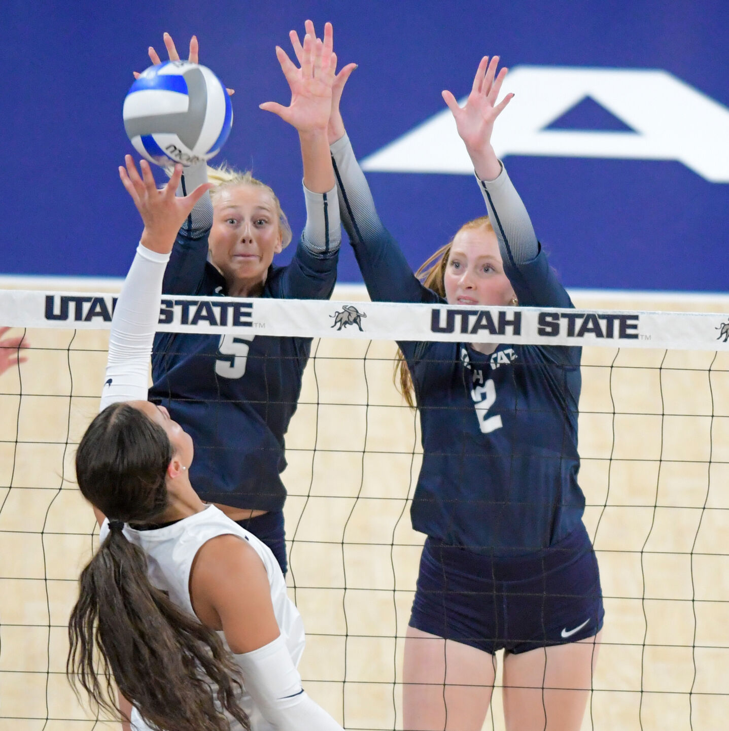 Photo Gallery: BYU-Utah State Volleyball | Multimedia | hjnews.com