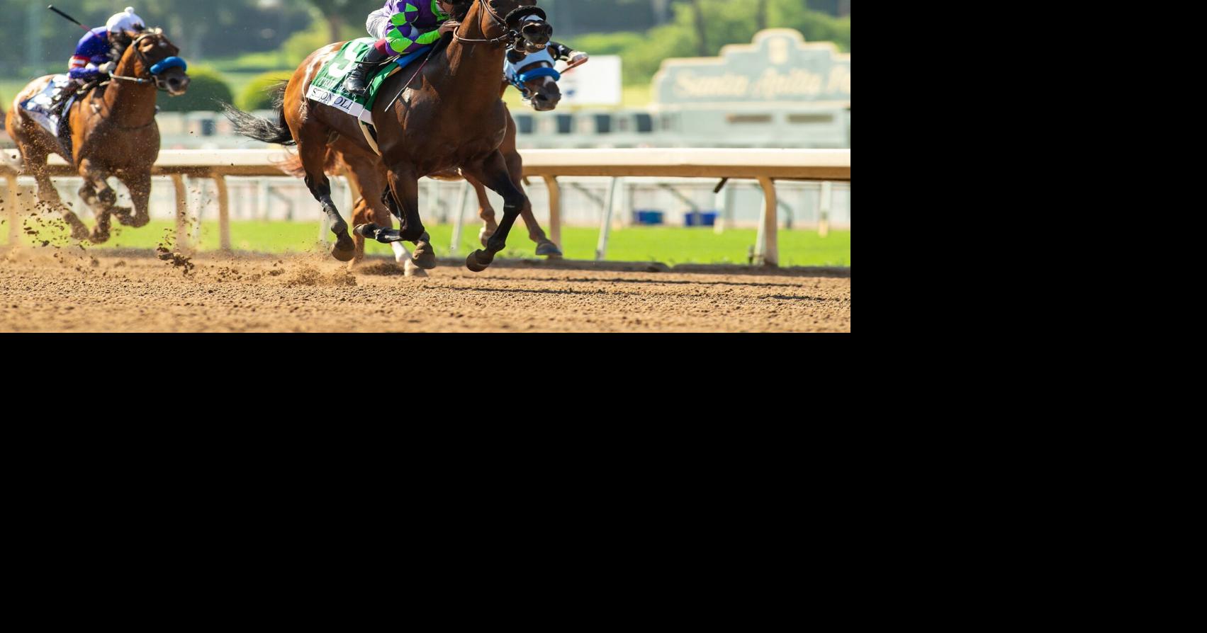 Santa Anita Horse Racing | National Sports | hjnews.com