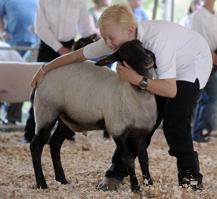 Cache County fair kicks off with junior livestock competition | Cache ...