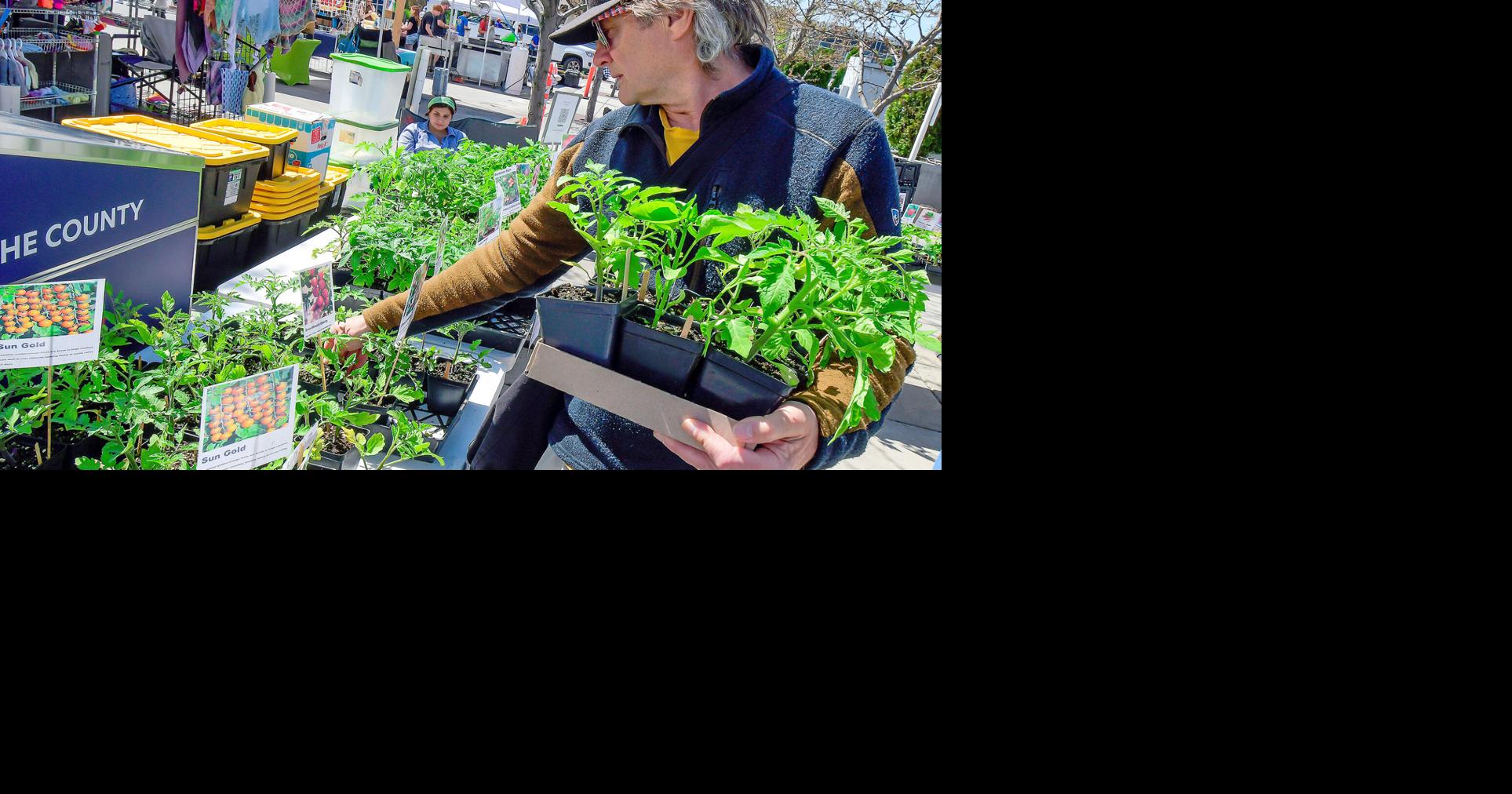 Spring Starts | Local News | hjnews.com