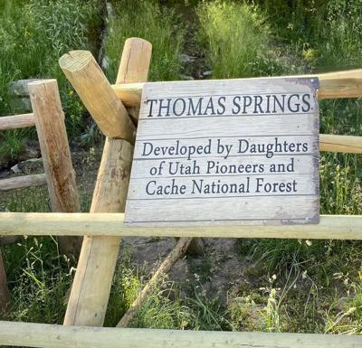 DUP, forest rangers make improvements at Thomas Springs | Preston ...