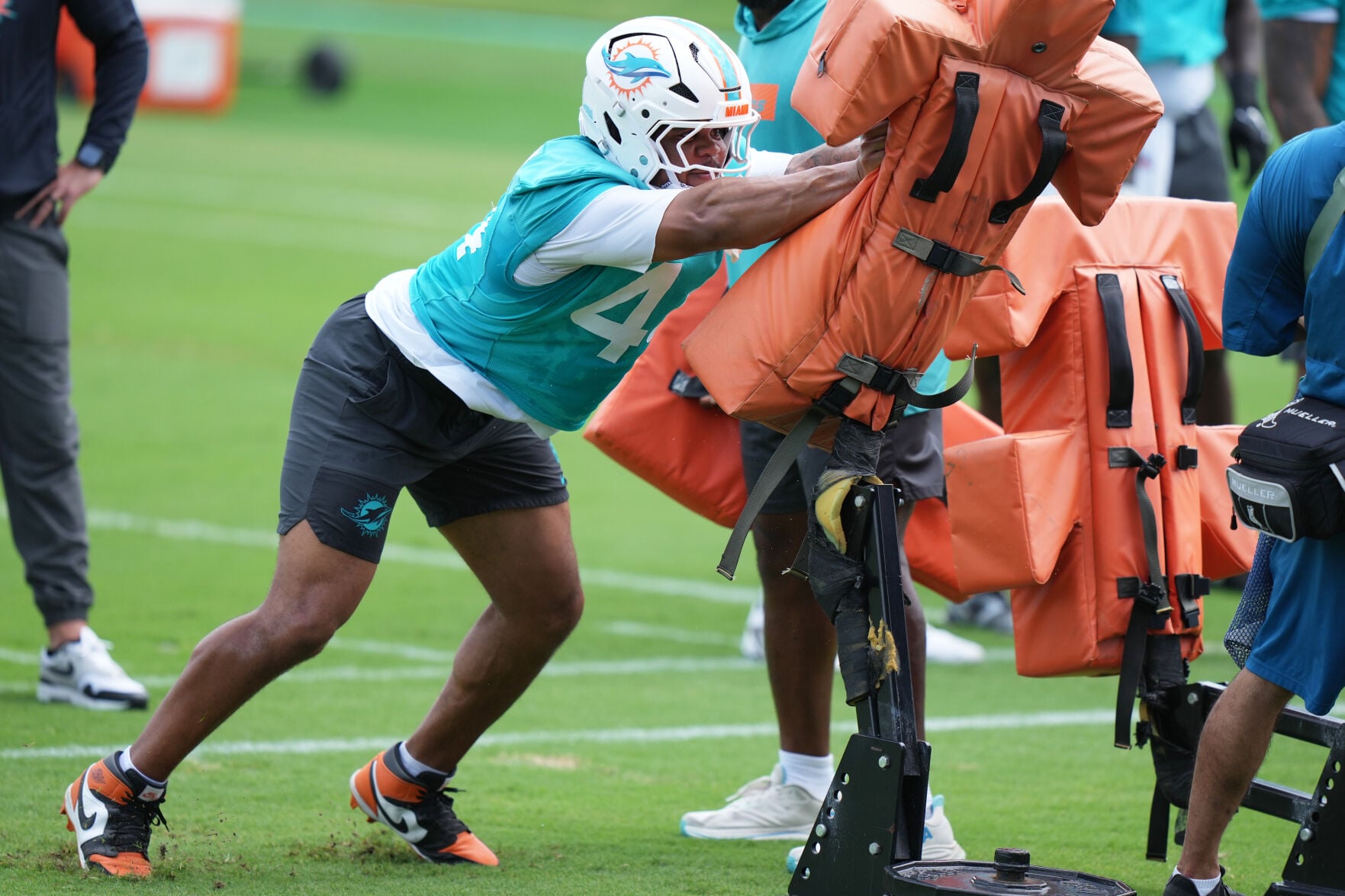 Dolphins Football | National Sports | hjnews.com