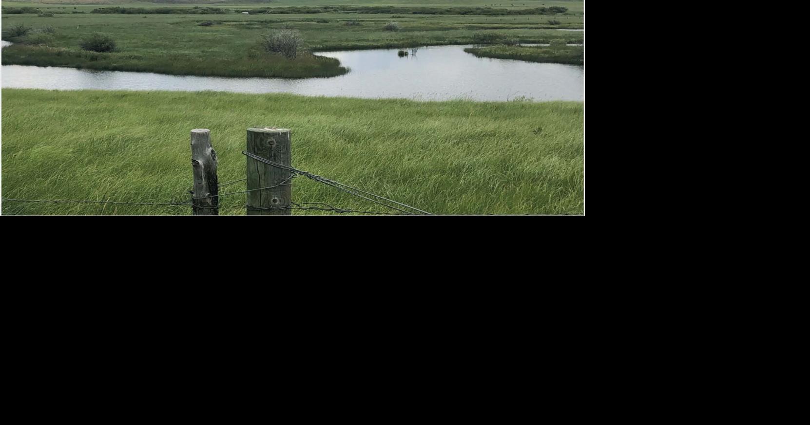 BLM seeks input on proposed Caldwell Canyon Phosphate Mine | News ...