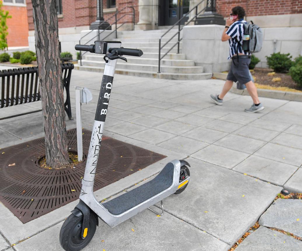 Logan enters pilot agreement with micromobility company 'Bird' | Local ...