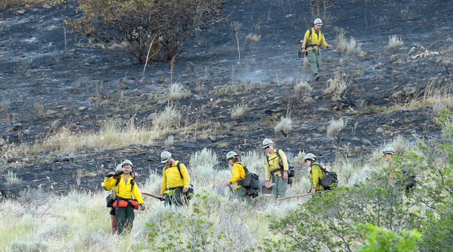 Sardine Canyon fire 80% contained, officials expect near full ...