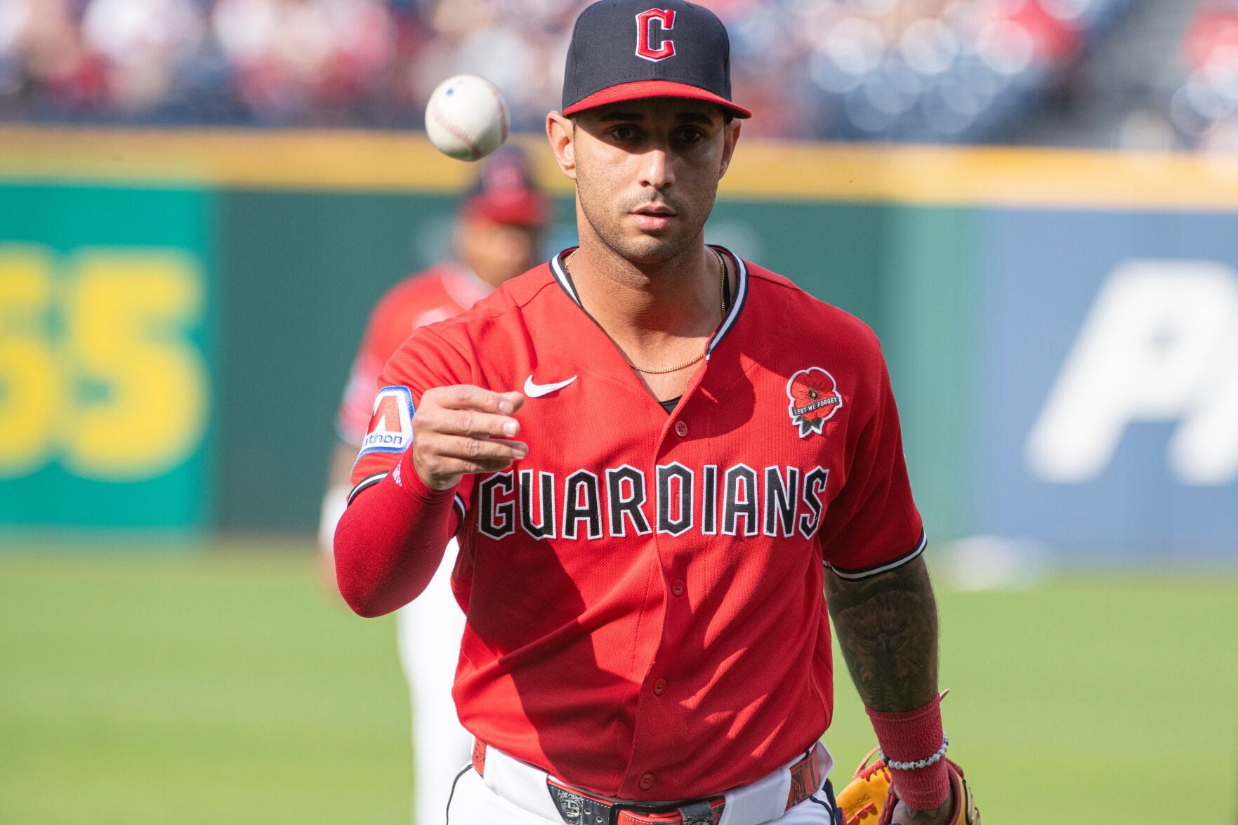 Nationals Guardians Baseball | National Sports | hjnews.com