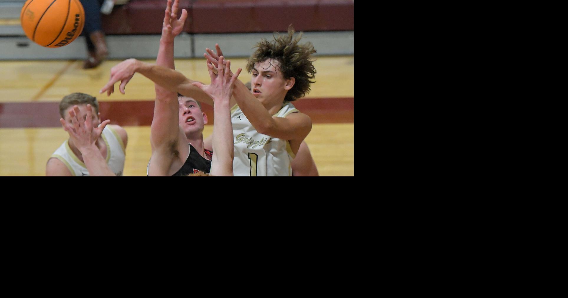 Prep boys hoops: Grizzlies, Riverhawks advance in 4A playoffs | School ...