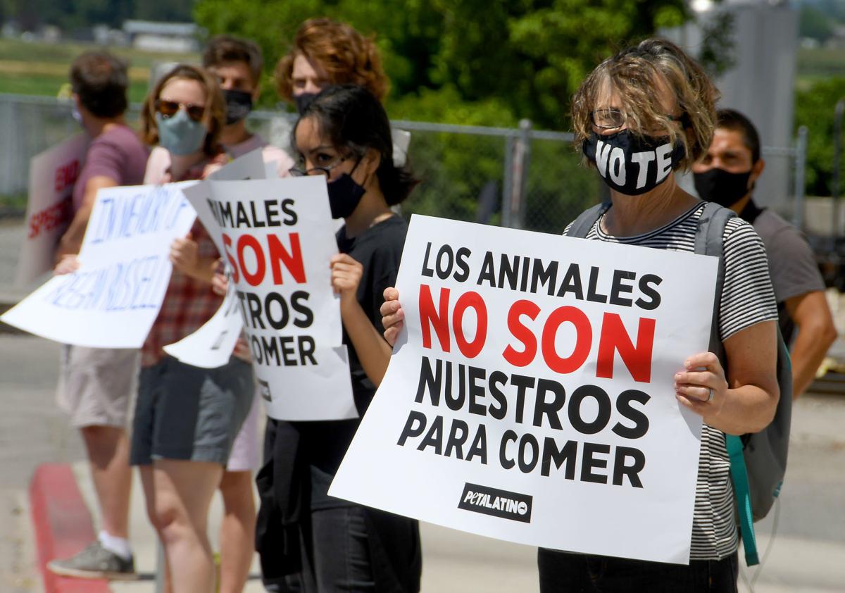Photo Gallery: PETA Protest | Multimedia | hjnews.com