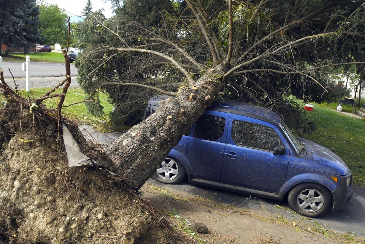Photo Gallery: Wind Damage | Multimedia | hjnews.com