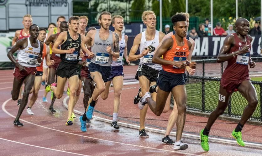 Maggard places 6th in 5,000 | USU Sports | hjnews.com
