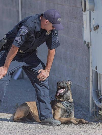 In honor of slain K9, Brigham City gets donation to fund new police dog ...