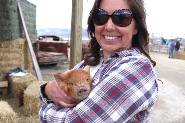 'Mini farm' celebrates spring with baby animals, festivities ...