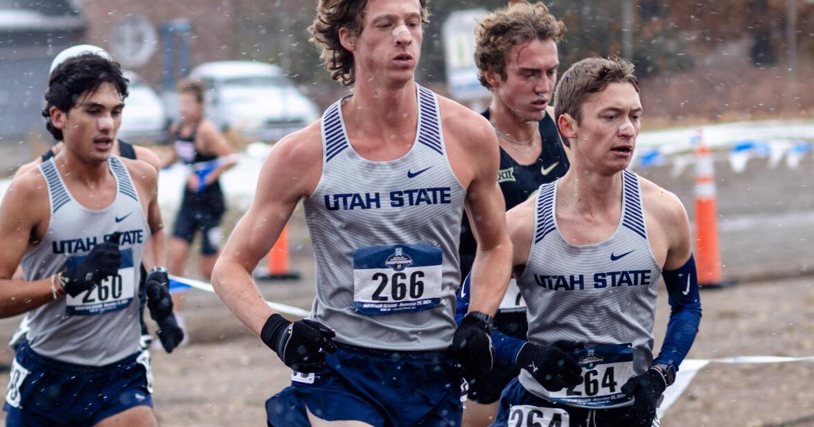 USU cross country: Aggie men hungry to compete at nationals | USU ...