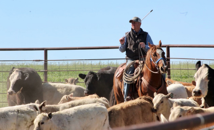 Becoming an agricultural advocate for life | Preston Citizen | hjnews.com