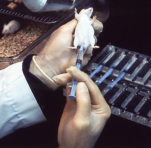 Canned catastrophe: botulism case gives doctors chance to study rare ...