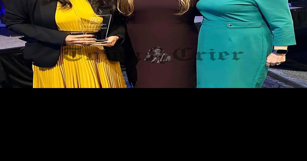 Rep. Nguyen honored as emerging woman leader in the law | News ...