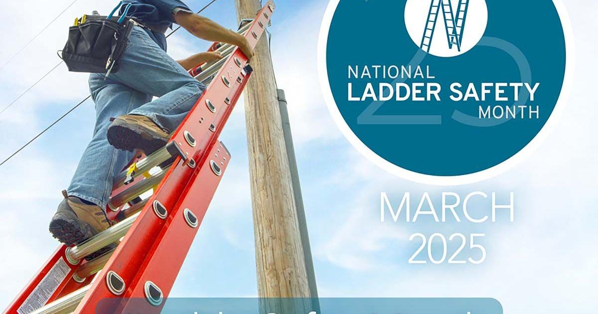 March is National Ladder Safety Month | News | homenewshere.com
