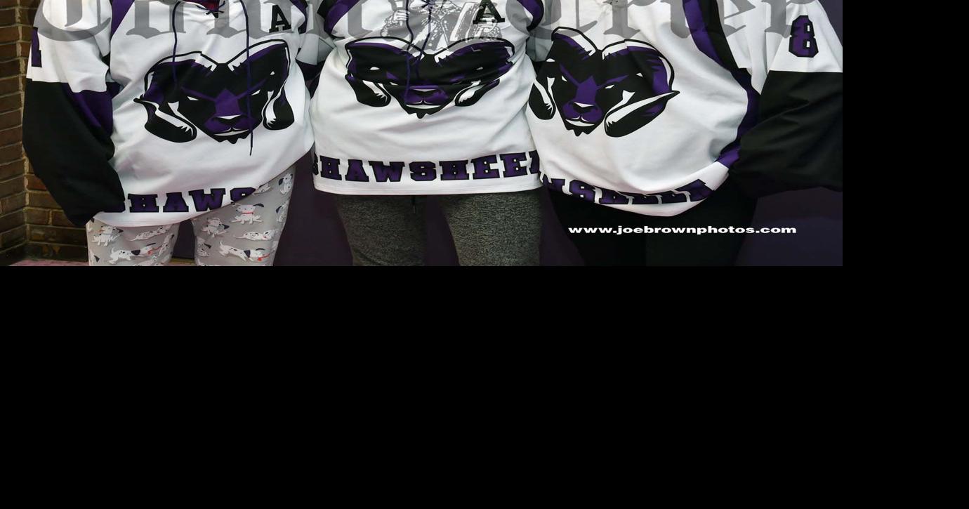 Shawsheen Tech Girls Hockey Preview: Lady Rams return all but one ...