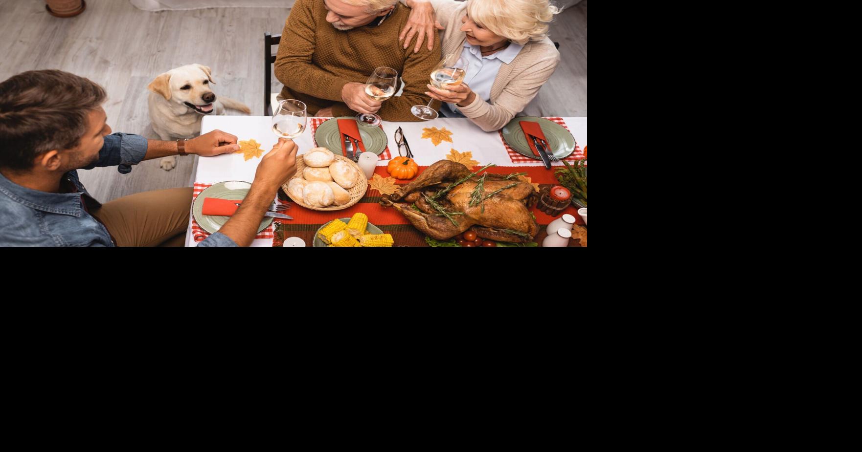 Turkey, Family, and Dogs! Taking Your Pup to Thanksgiving Dinner | Pets ...