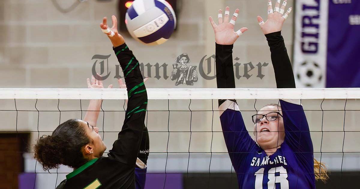 Shawsheen Tech Roundup: Ram volleyball wins playoff opener | Sports ...