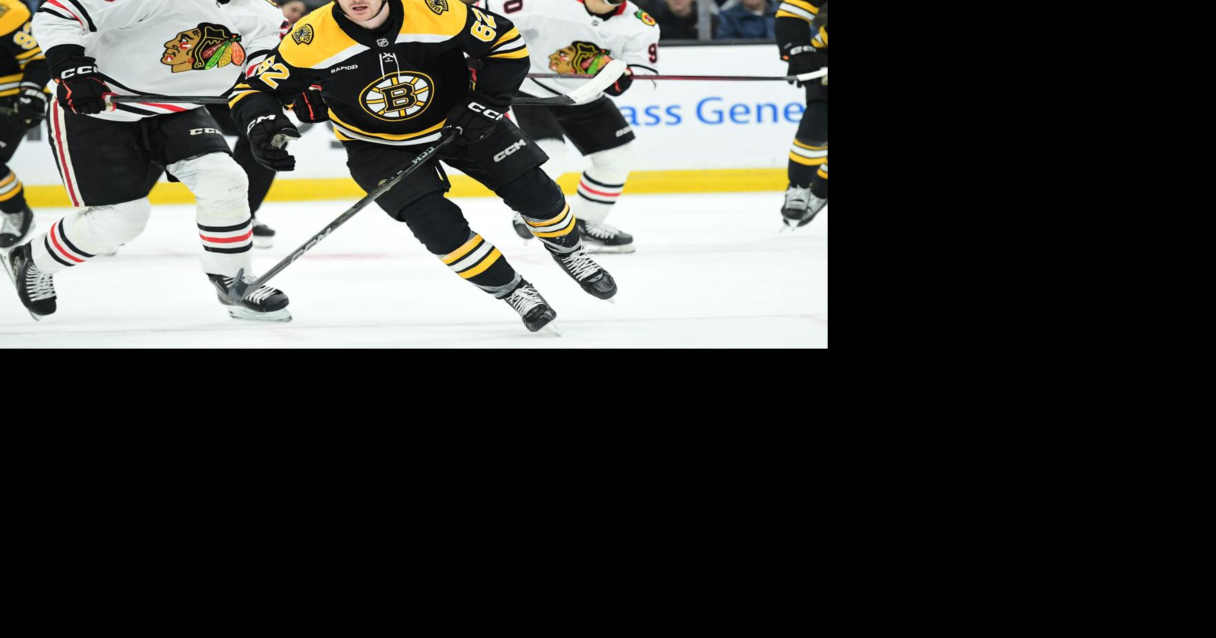 Woburn's Riley Duran made NHL debut with Bruins on April 10 | Daily ...