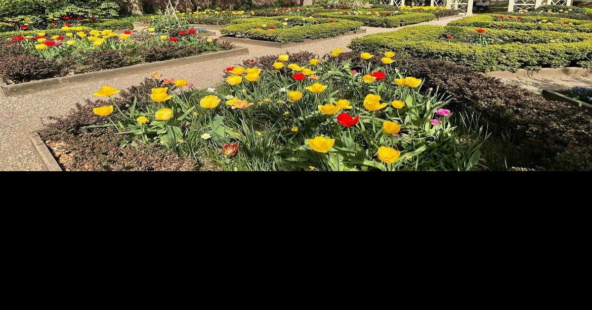 Find the 18th Century Garden in Philadelphia | News | homenewshere.com