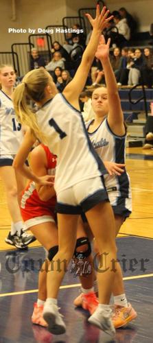 Wildcats on tournament pace: Despite recent defeats, WHS girls ...